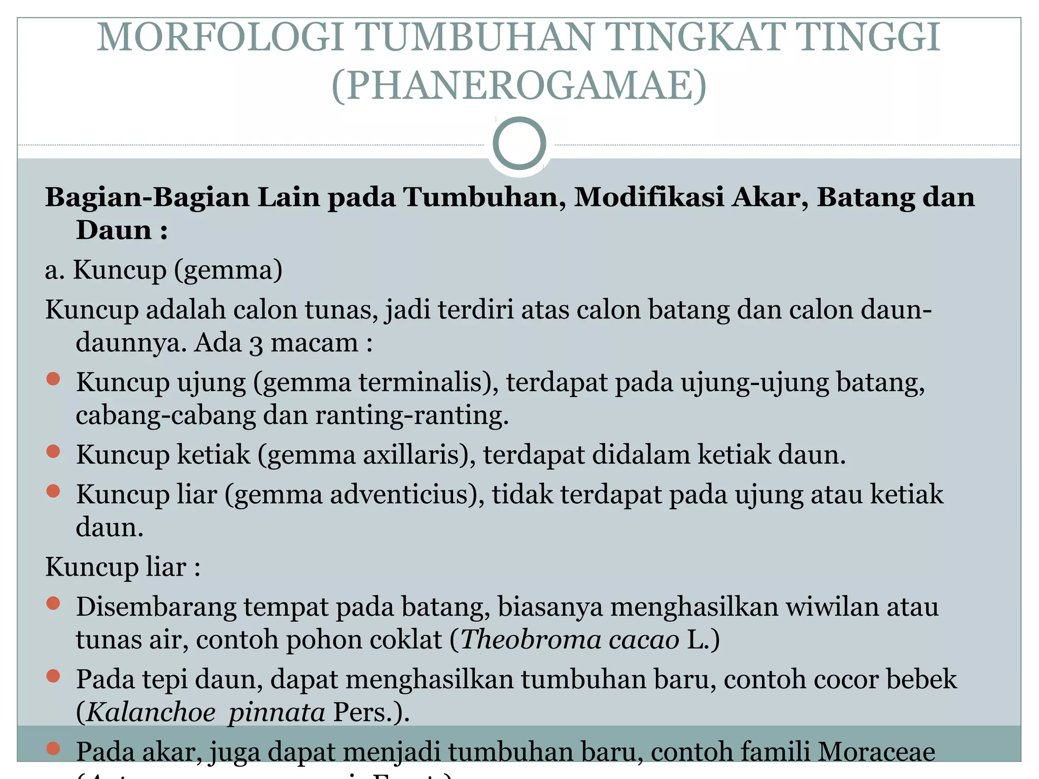Biologi Tanaman : Terminologi dan morfologi tumbuhan tingkat rendah dan ...
