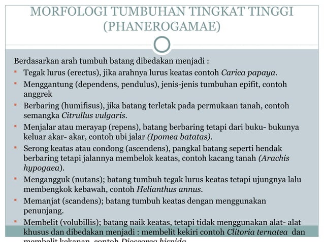 Biologi Tanaman : Terminologi dan morfologi tumbuhan tingkat rendah dan ...
