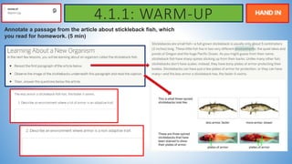 Examining Evidence About Sticklebacks | PDF