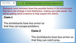 Examining Evidence About Sticklebacks | PDF
