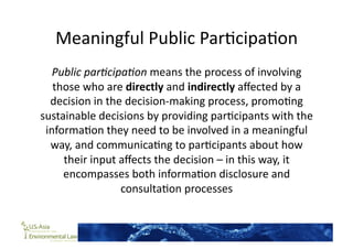 4. Outline Public Participation Guidelines - Baird | PDF