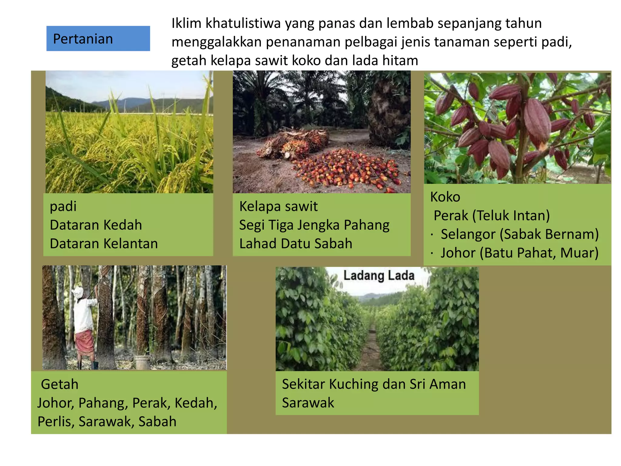 4.2 Pengaruh cuaca dan Iklim kpd kegiatan manusia di Malaysia | PDF