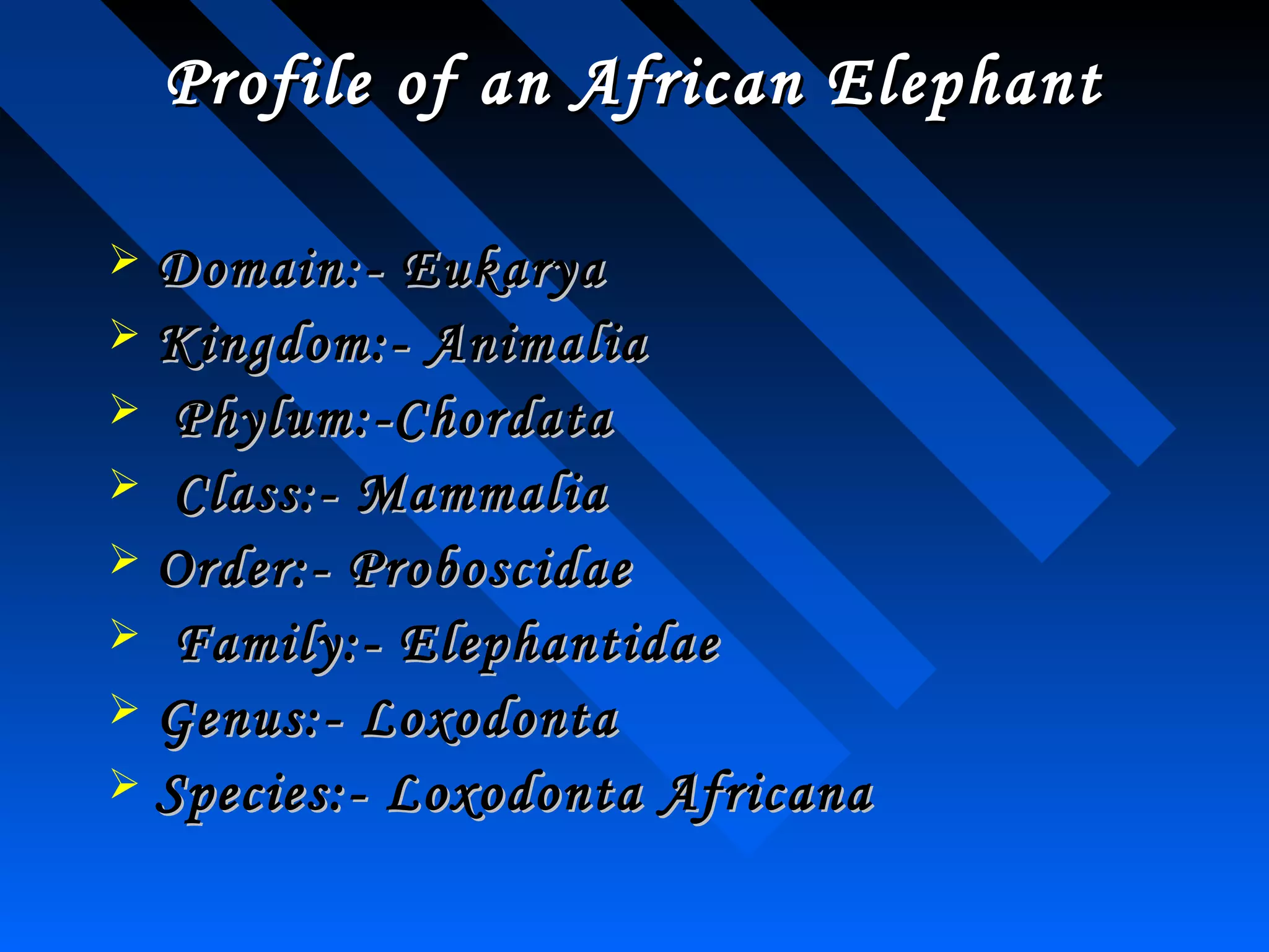 adaptation of elephant | PPT
