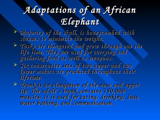 adaptation of elephant | PPT