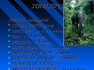 adaptation of elephant | PPT