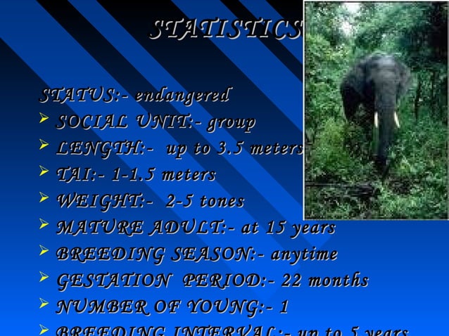 adaptation of elephant | PPT | Large Animals | Pets
