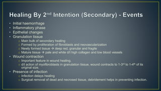 4. healing and fracture | PPTX