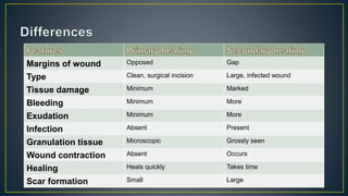 4. healing and fracture | PPT
