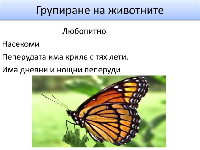 групиране на животните 4 клас Pptx