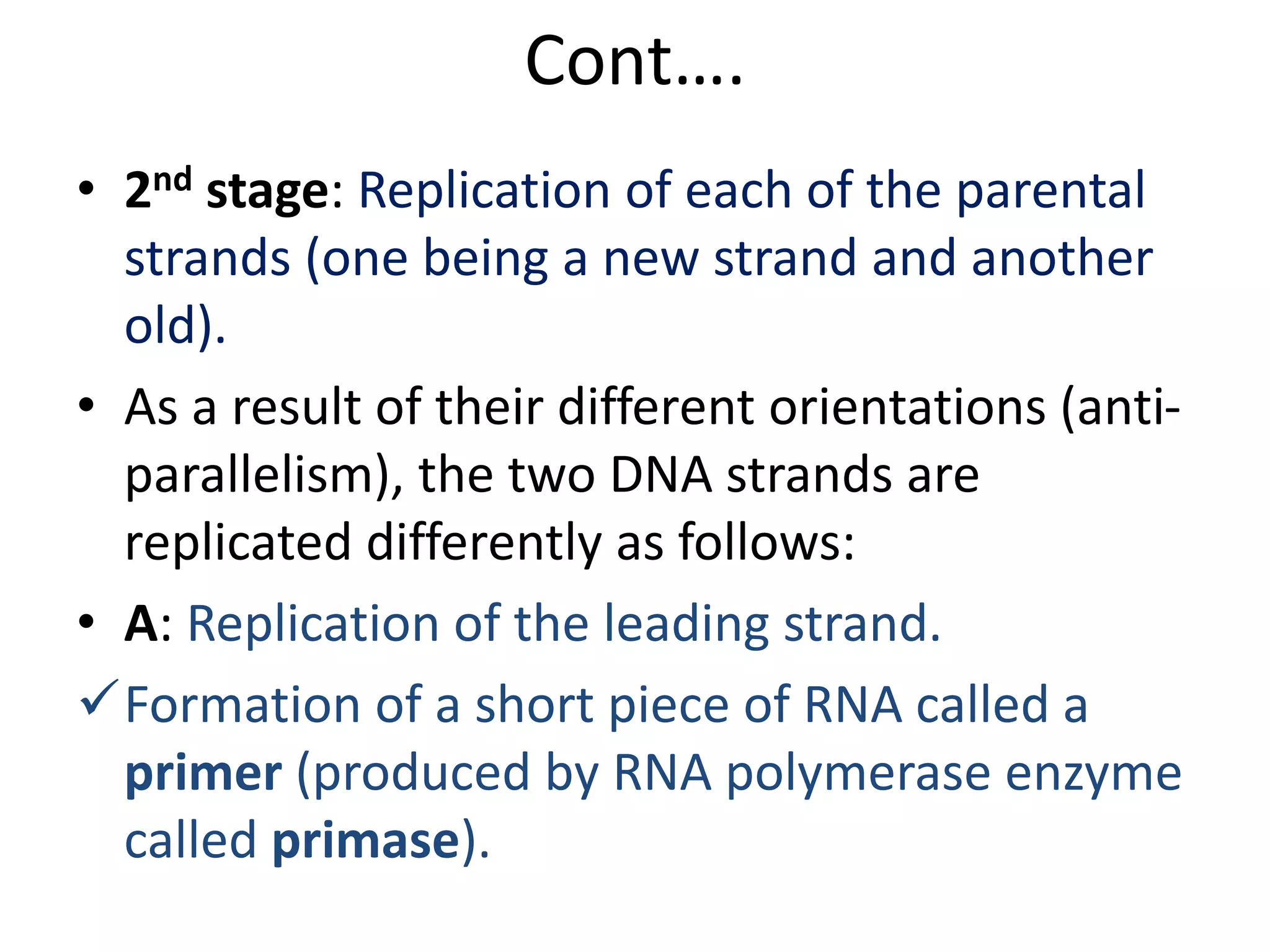 4. dna replication made easy | PPT