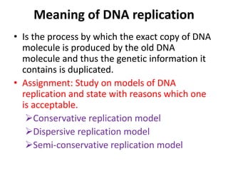 4. dna replication made easy | PPT