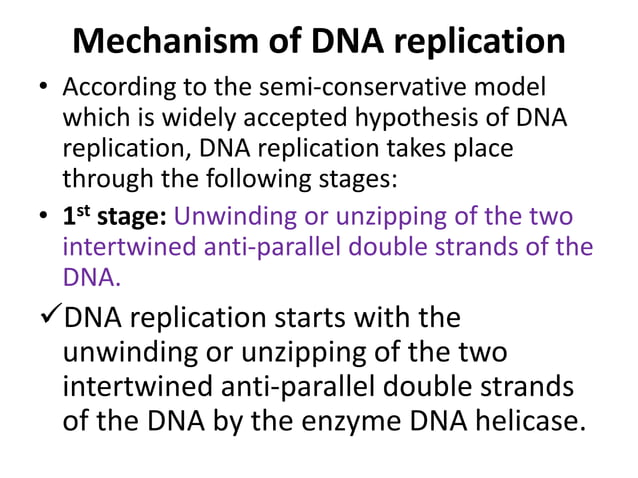 4. dna replication made easy | PPT
