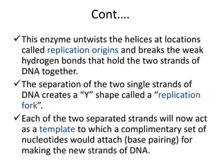 4. dna replication made easy | PPT