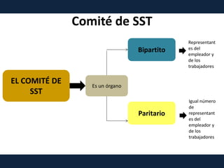 Comite de Seguridad y Salud en el Trabajo | PDF