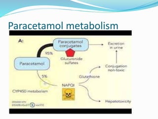 4. drug metabolism | PPTX