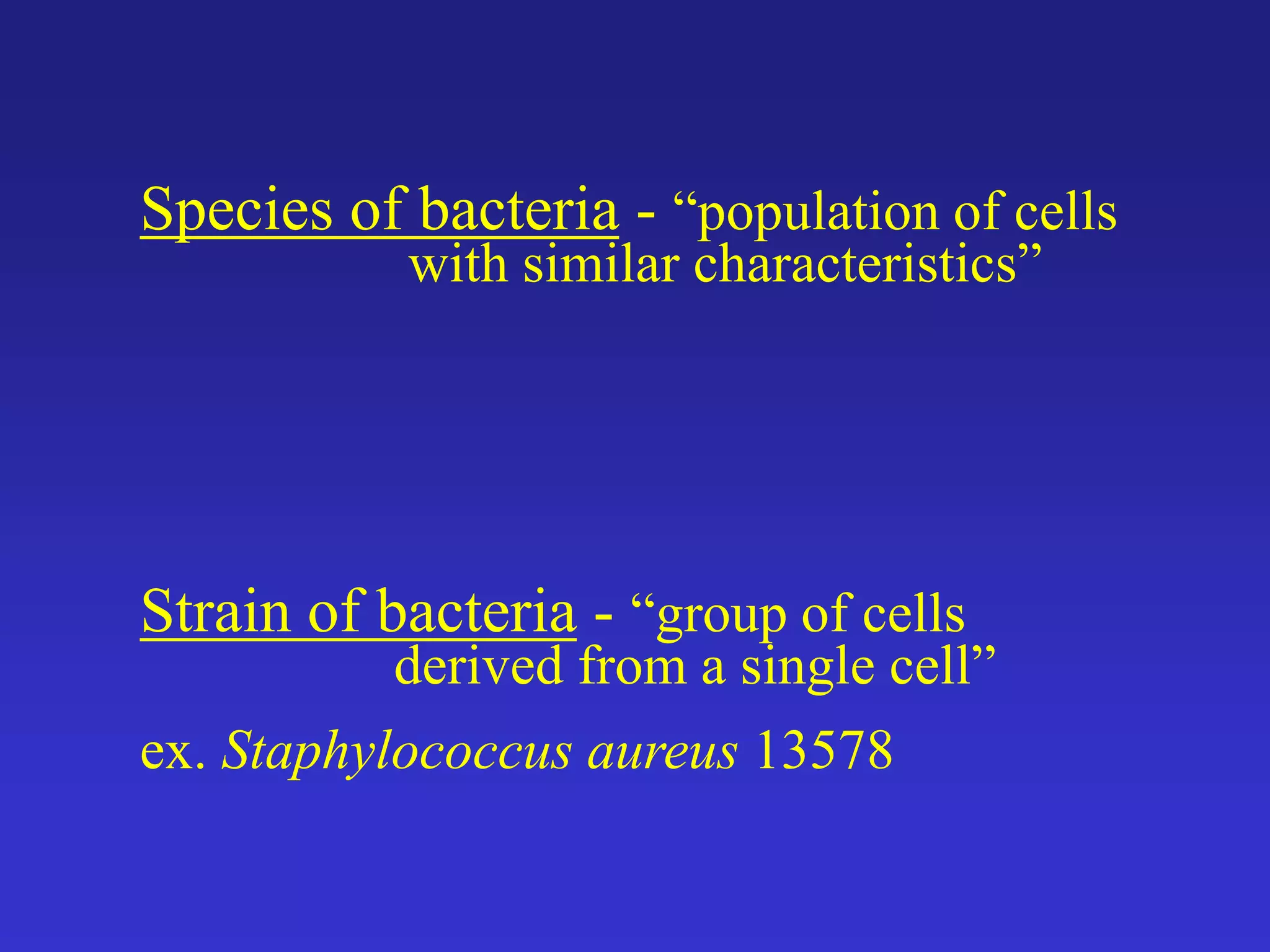 4. bacterial classification | PDF