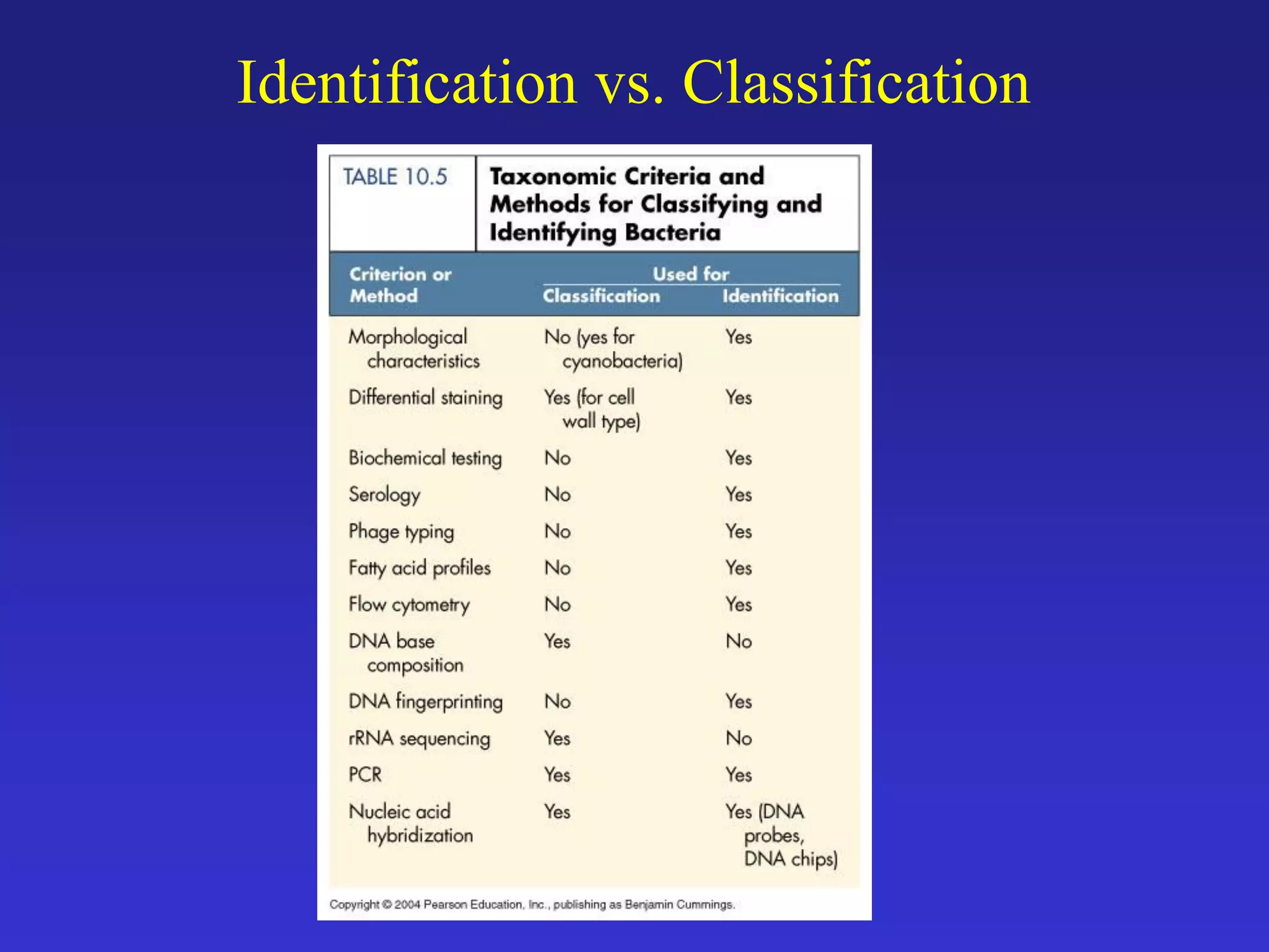 4. bacterial classification | PDF