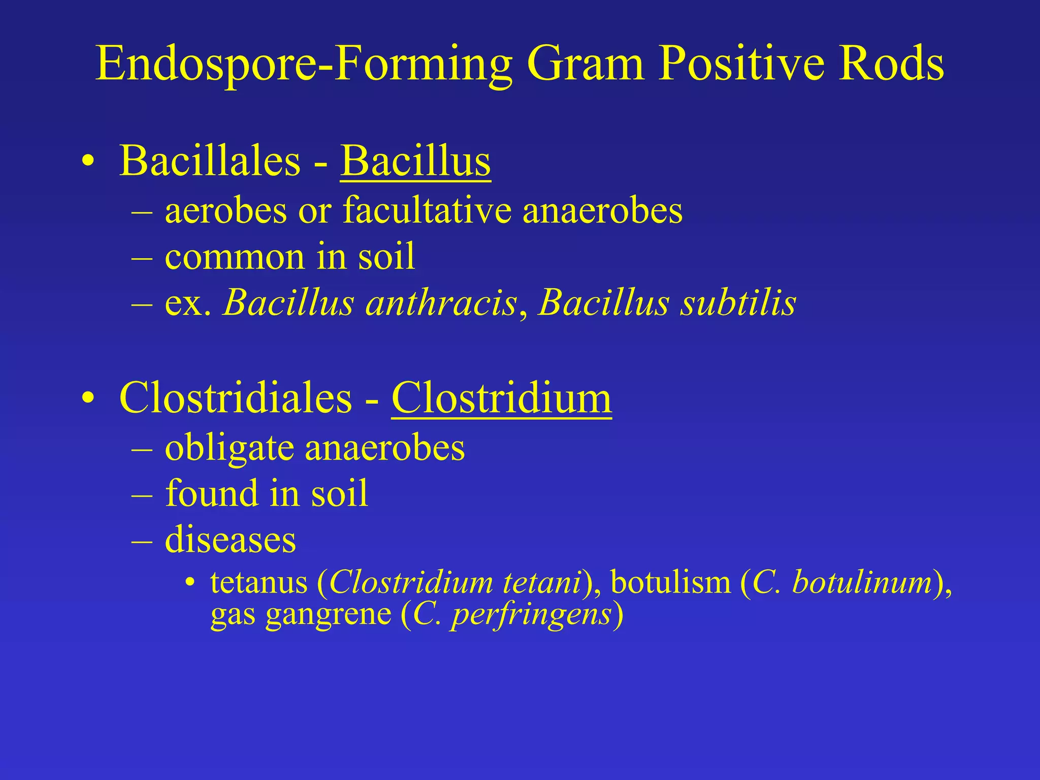 4. bacterial classification | PDF