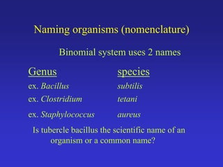 4. bacterial classification | PDF