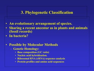 4. bacterial classification | PDF