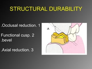 4.principles of tooth preparation ‫‬ | PPT | Oral care | Personal Care