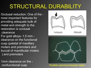 4.principles of tooth preparation ‫‬ | PPT | Oral care | Personal Care