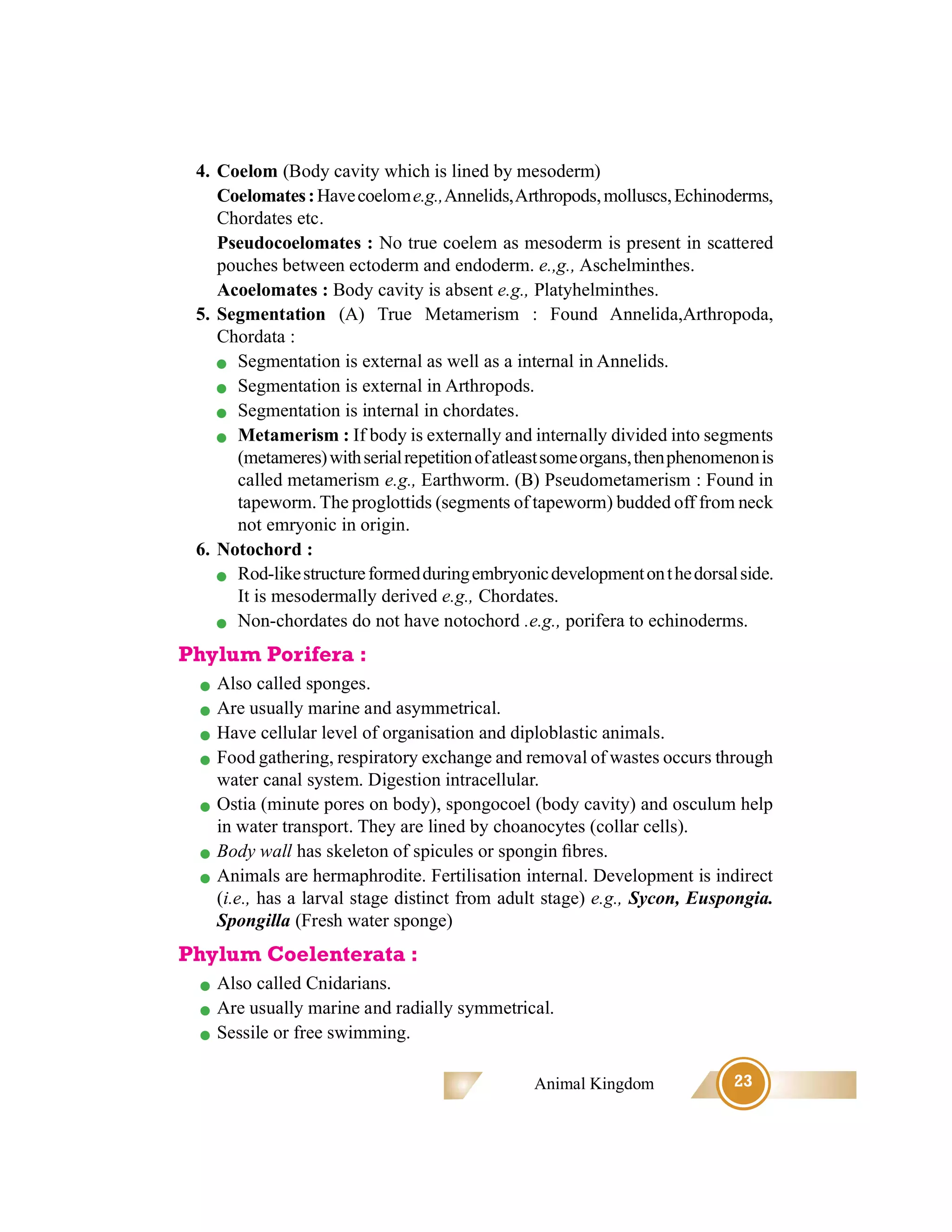 Classification of Animal Kingdom | PDF