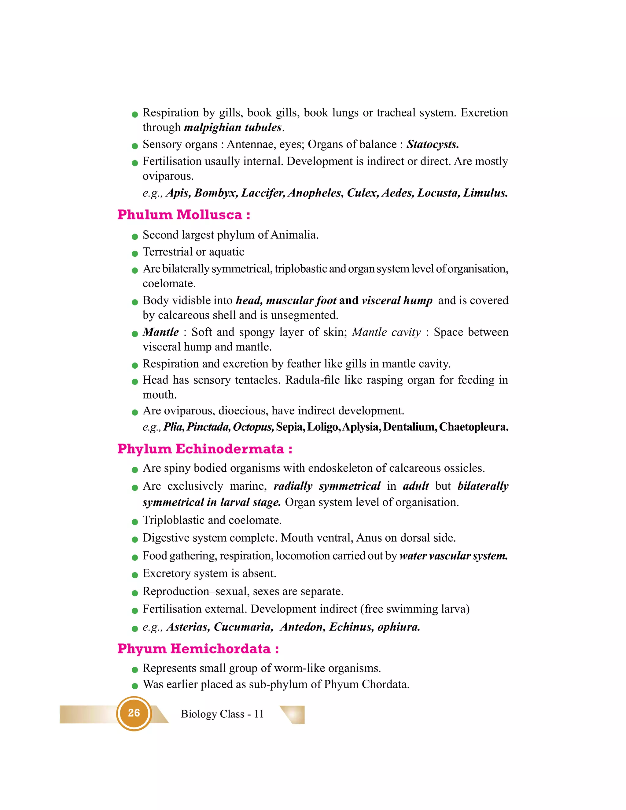 Classification of Animal Kingdom | PDF