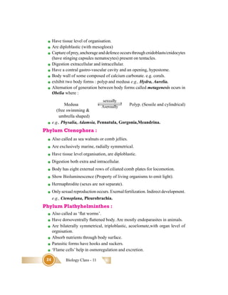 Classification of Animal Kingdom | PDF