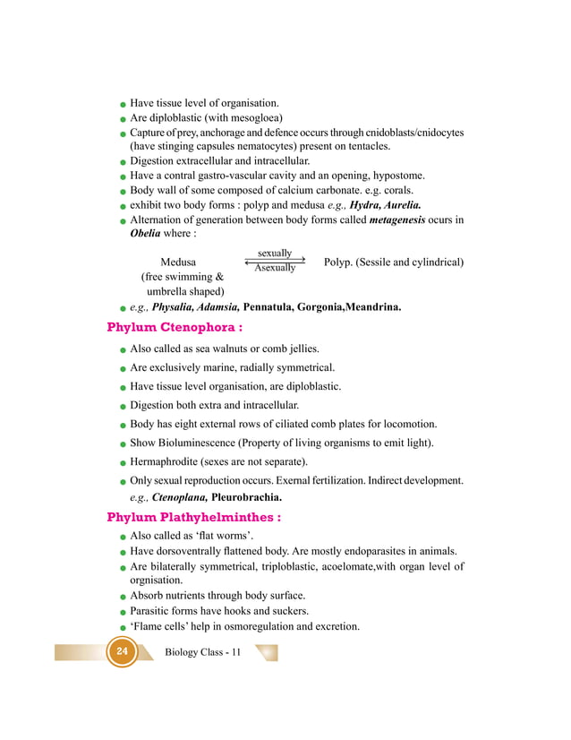 Classification of Animal Kingdom | PDF