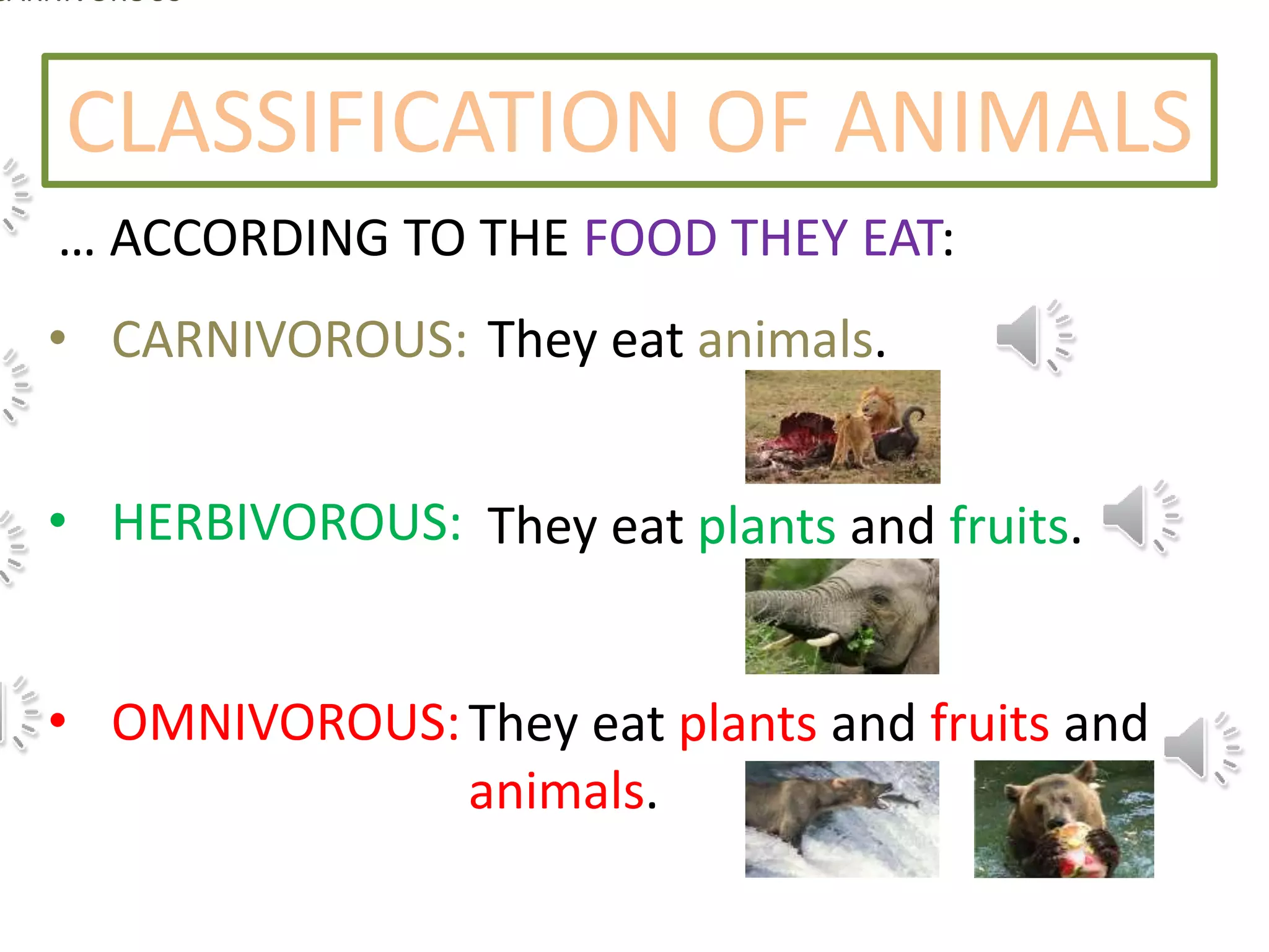 Animals Classification | PPTX