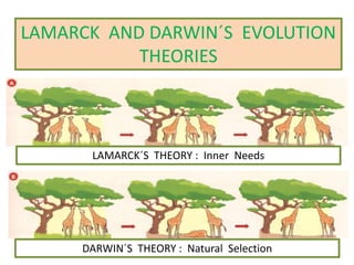 Animals Classification | PPTX