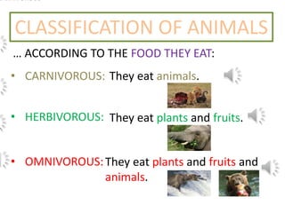 Animals Classification | PPTX