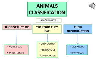 Animals Classification | PPTX