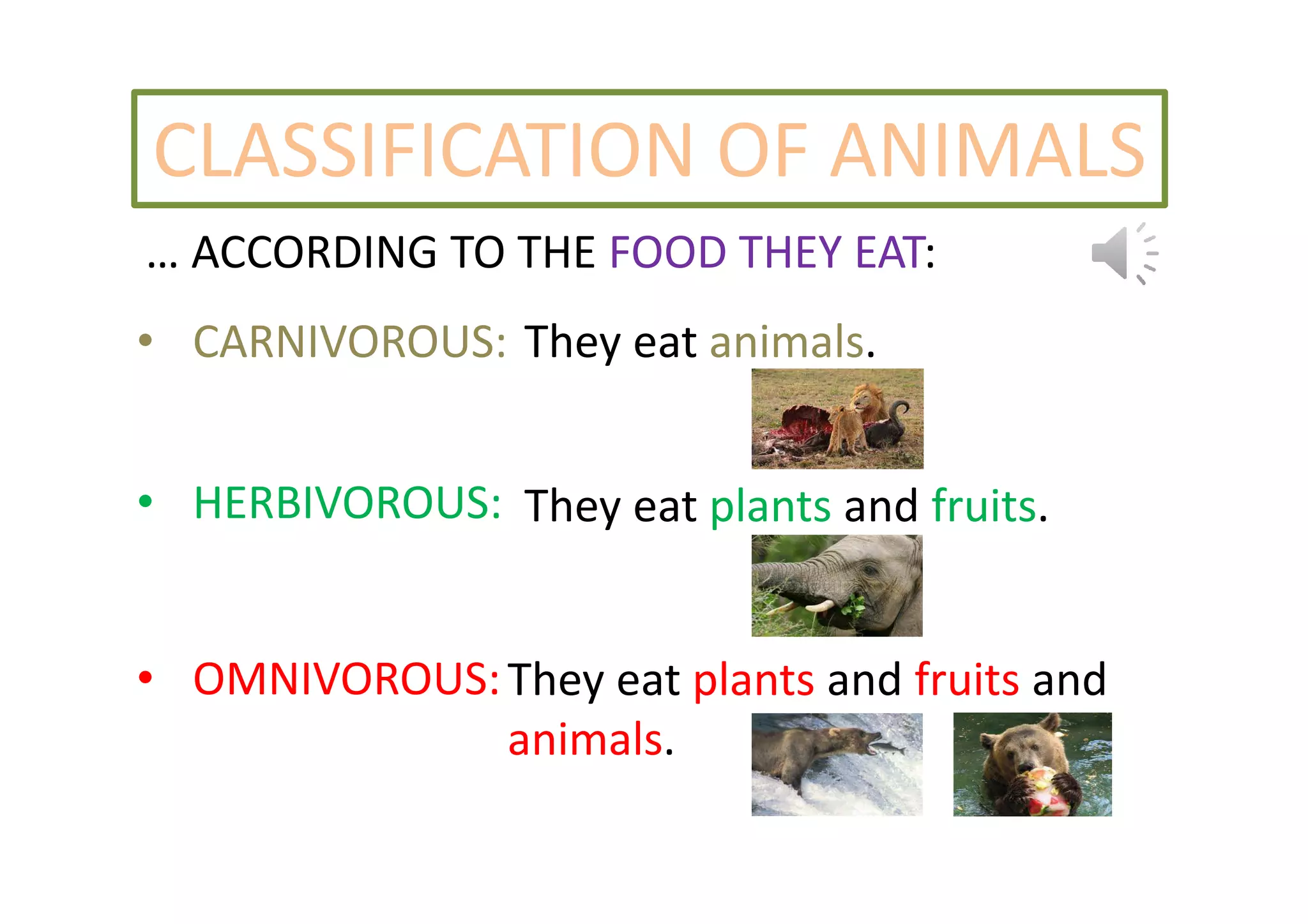 Animals classification | PDF
