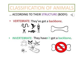Animals classification | PDF