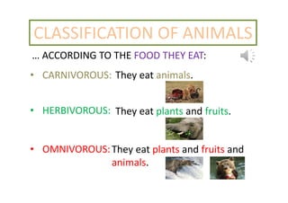 Classification Of Animals According To The Food They Eat