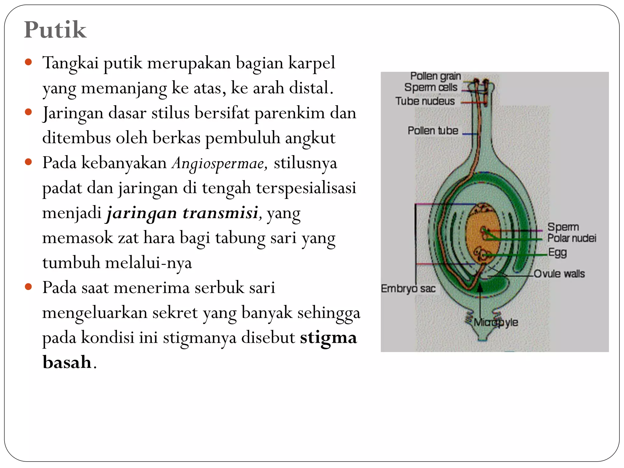 4. Morfologi Bunga | PDF