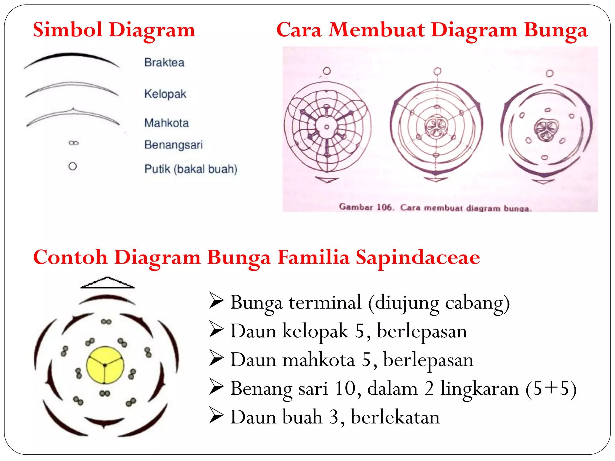 4. Morfologi Bunga | PDF