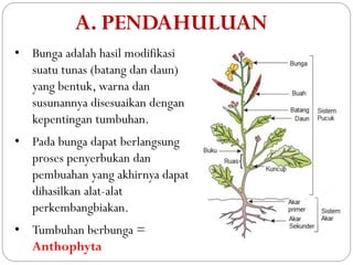 4. Morfologi Bunga | PDF