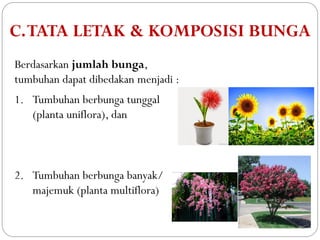 4. Morfologi Bunga | PDF