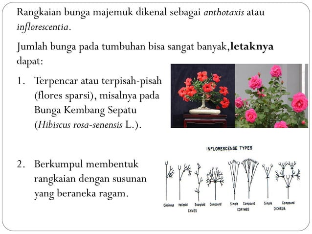 4. Morfologi Bunga | PDF