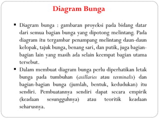 4. Morfologi Bunga | PDF