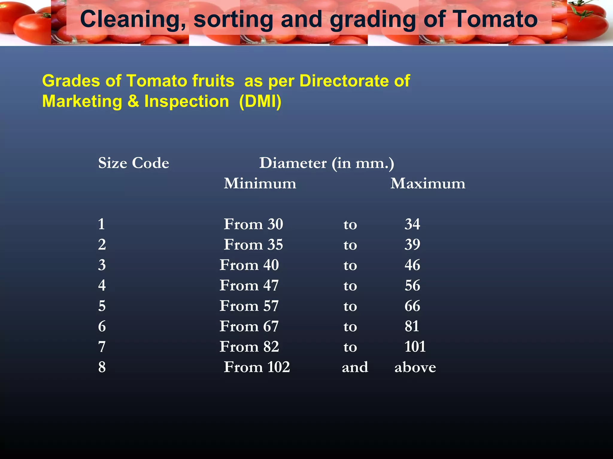 Tomato Grading | PPT