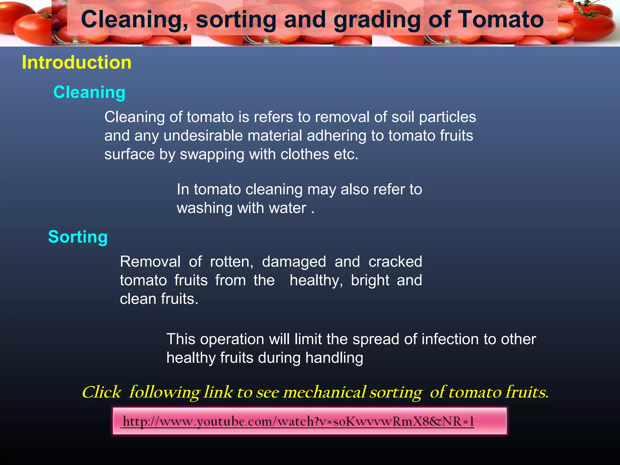 Tomato Grading | PPT