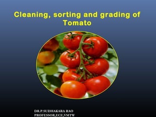 Tomato Grading | PPT