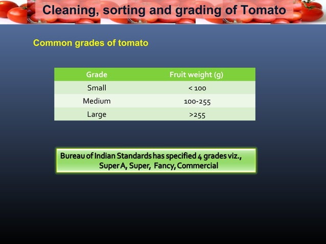 Tomato Grading | PPT | Gardening | Home & Garden