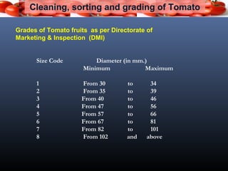 Tomato Grading | PPT