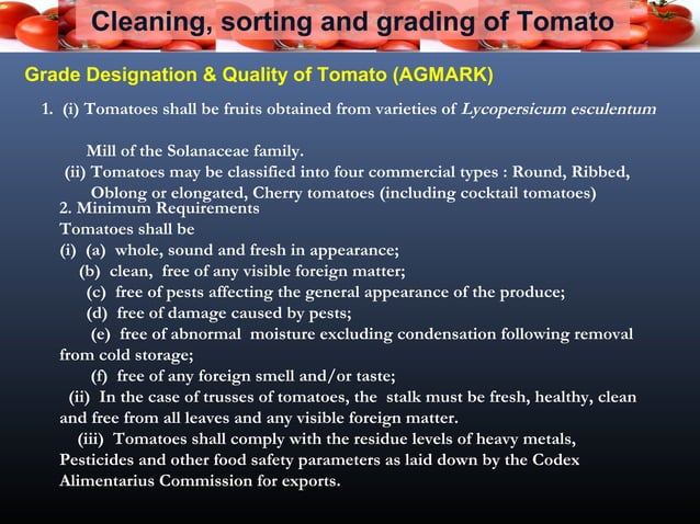 Tomato Grading | PPT | Gardening | Home & Garden