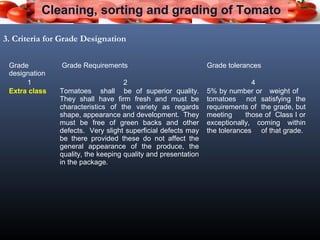 Tomato Grading | PPT